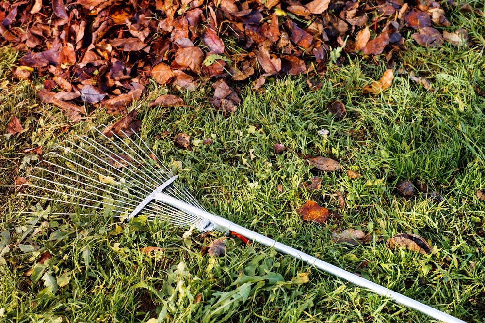 6 simple fall lawn care tips - Triple Tree Nurseryland