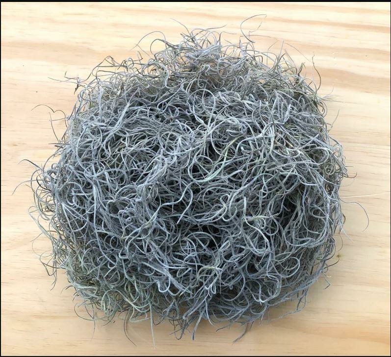 Preserved Spanish Moss Grey - Triple Tree Nurseryland